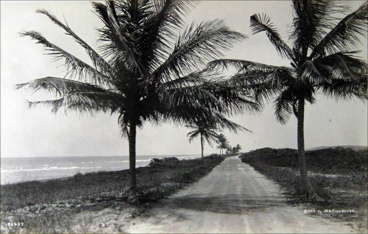 Miami Beach History: From Mangroves to Art Deco Masterpieces – VAGA men ...
